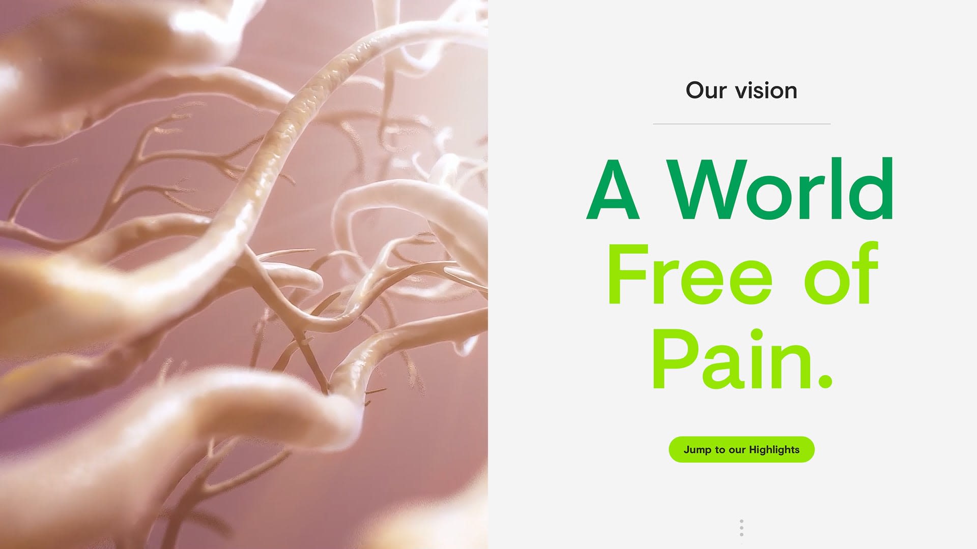 Grünenthal Company Overview